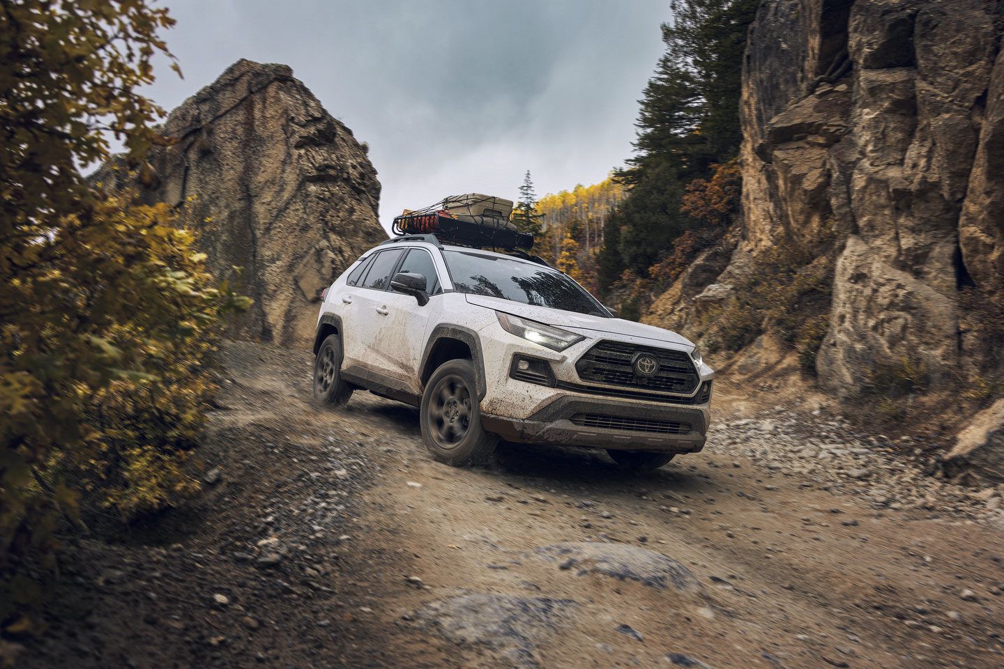 Acadia Toyota | Unleash Your Adventurous Spirit with the 2024 Toyota RAV4