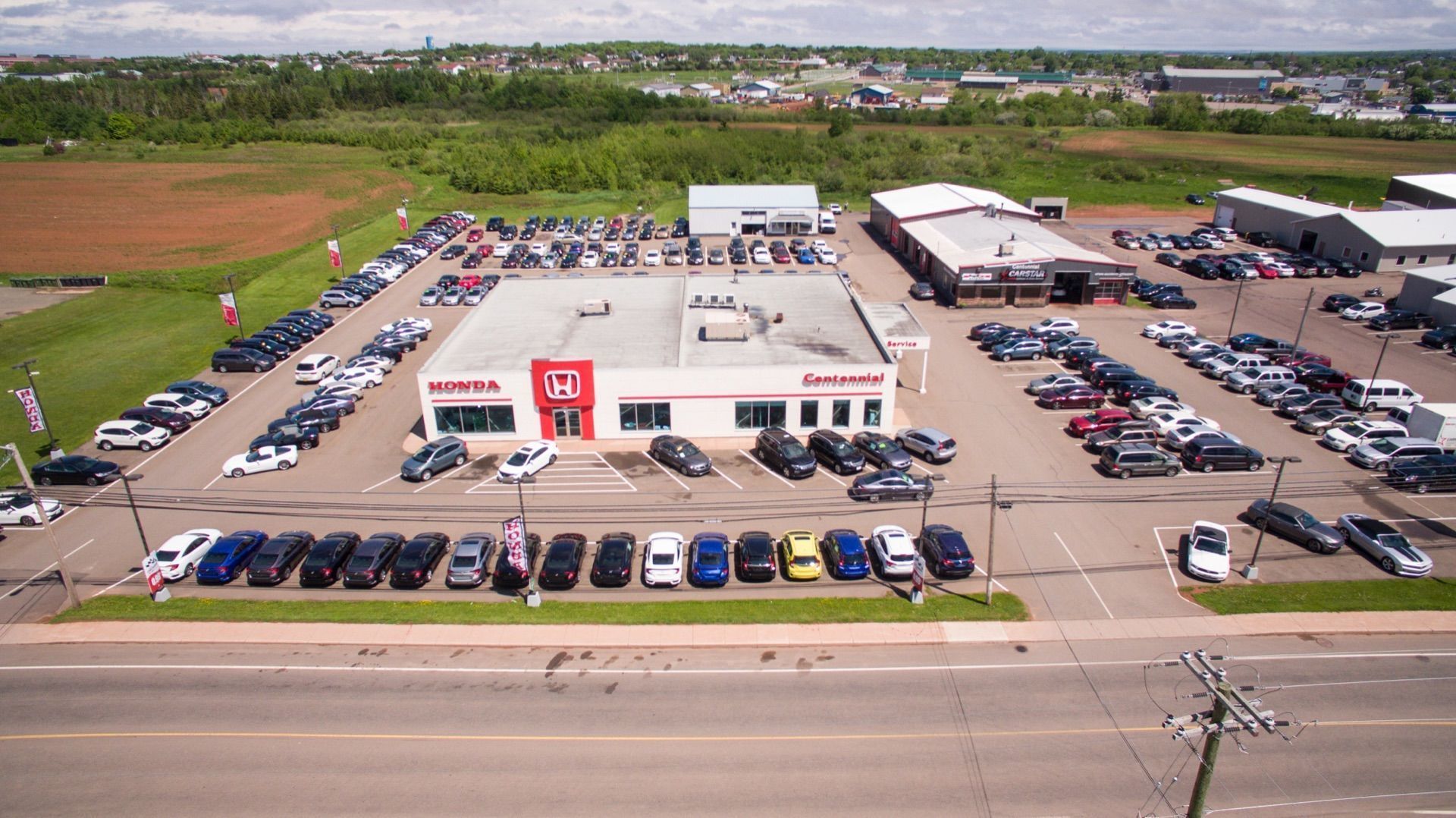 Centennial Honda in Summerside | It's All In The Details: Meet Archie ...