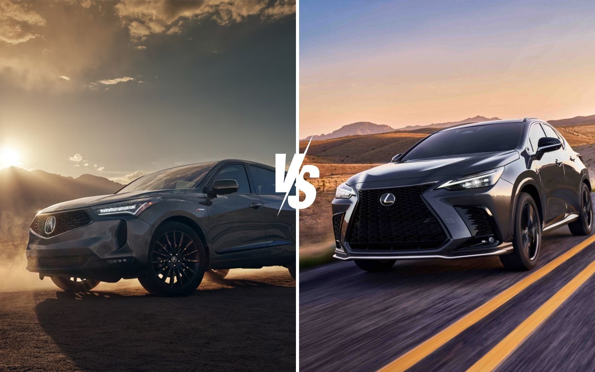 Markham Acura | 2024 Acura RDX vs 2024 Lexus NX350
