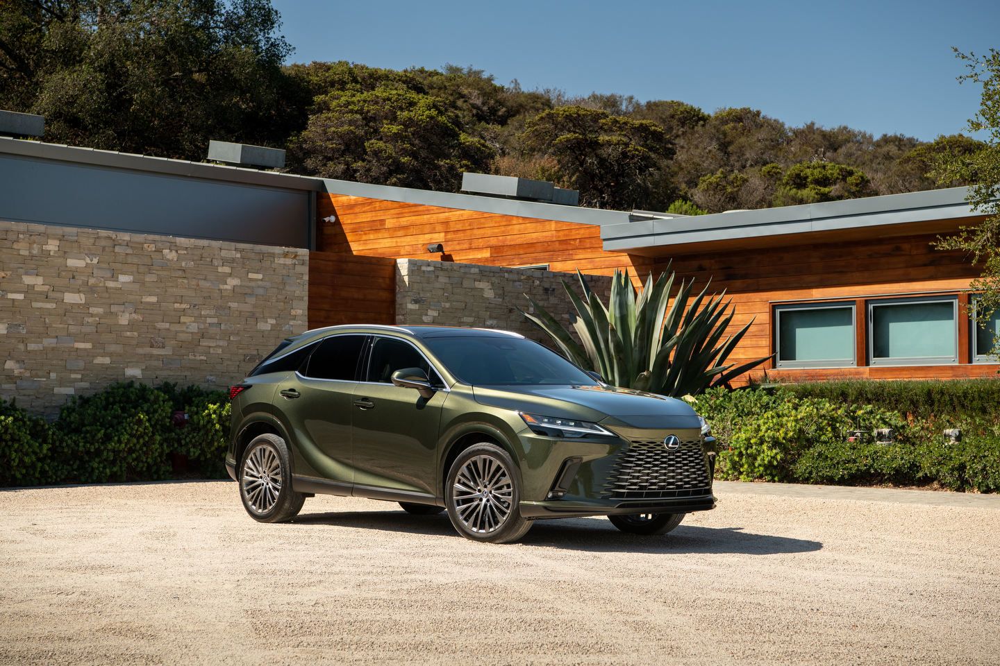 The 2024 Lexus RX: New Plug-In Hybrid, Pricing, and More | Erin Park ...