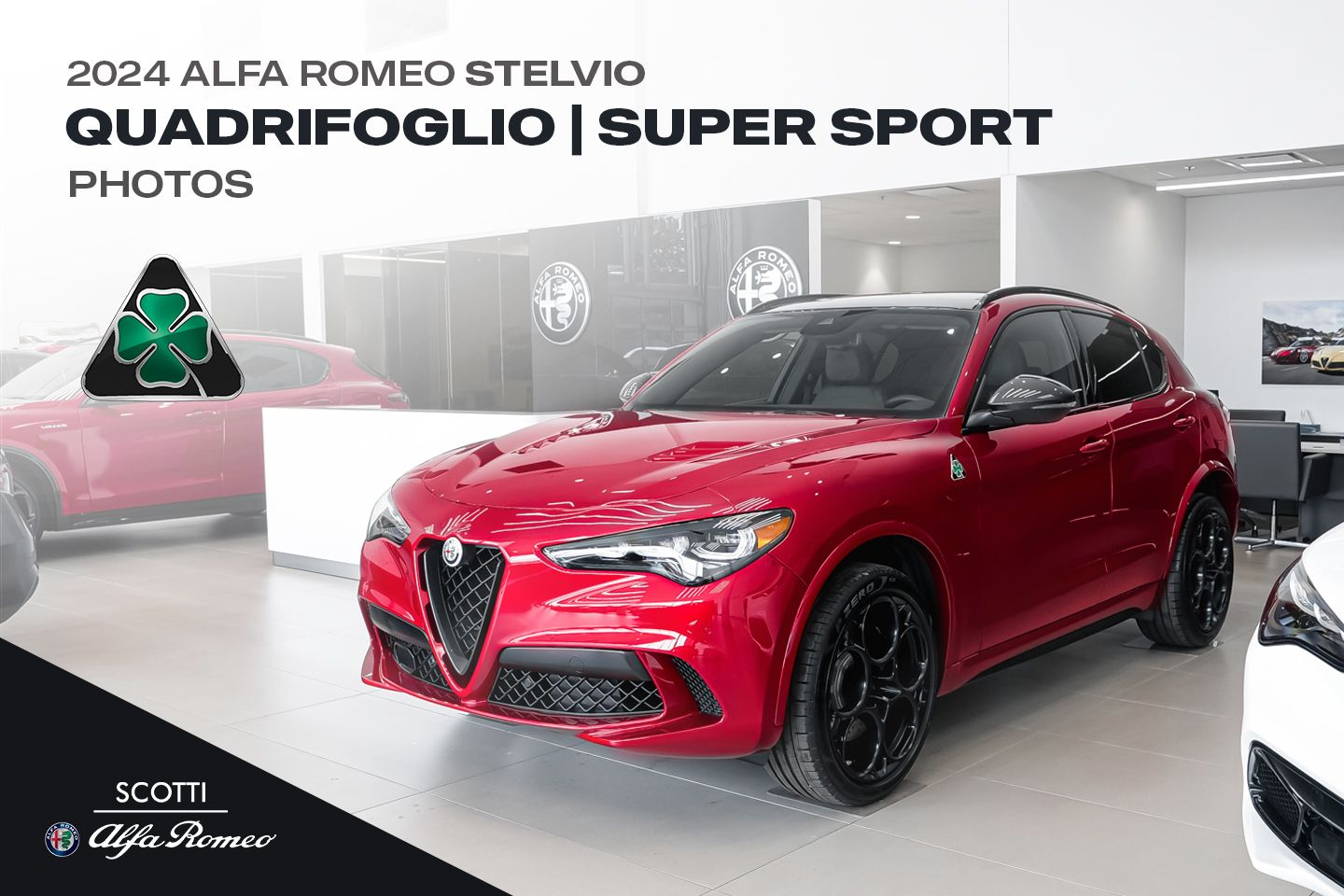 2024 Alfa Romeo Stelvio Quadrifoglio SUPER SPORT | Photos
