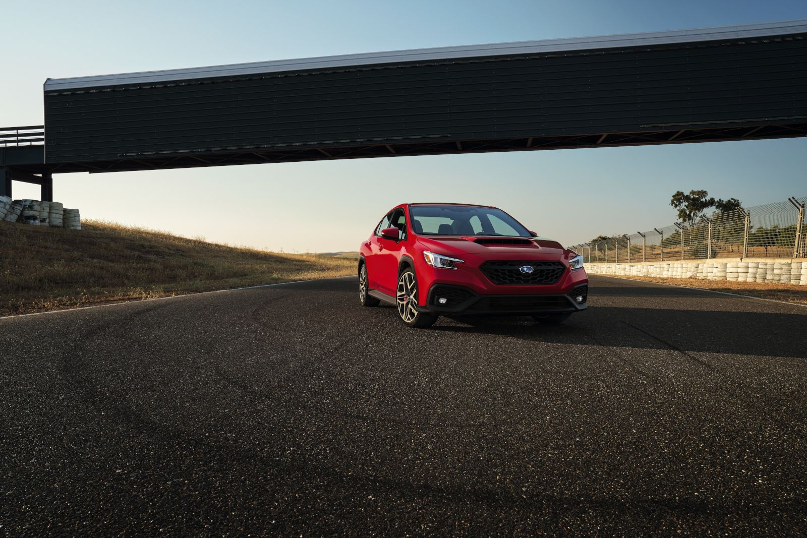 Pourquoi choisir la Subaru WRX 2025 cet été?