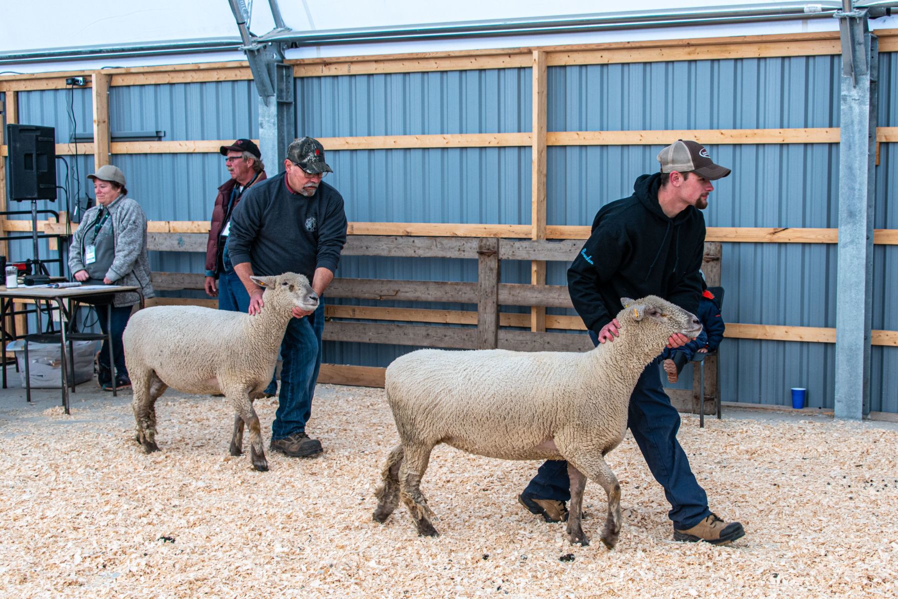 Celebrating 175 Years of Community and Tradition at the Erin Fall Fair ...