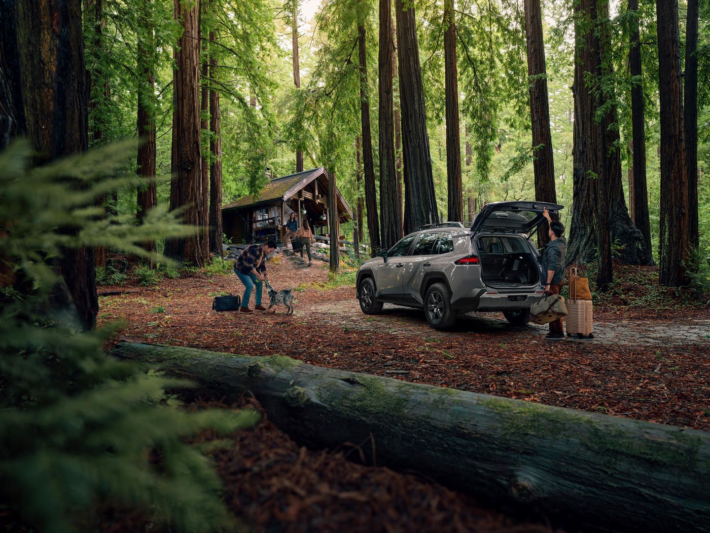 Answering All of Your Questions About the 2026 Toyota RAV4