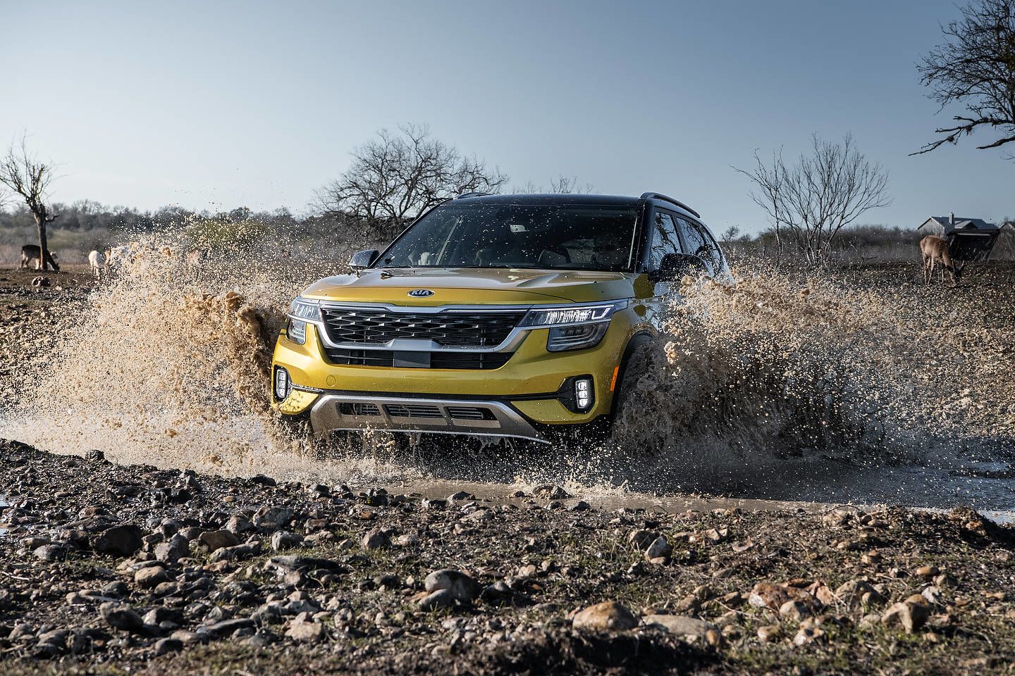 Lallier Kia de Laval | Le rouage intégral Kia : parfait pour l’hiver