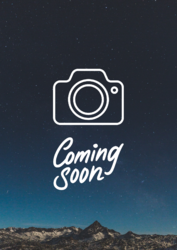 West Edmonton Hyundai in Edmonton | Our Team