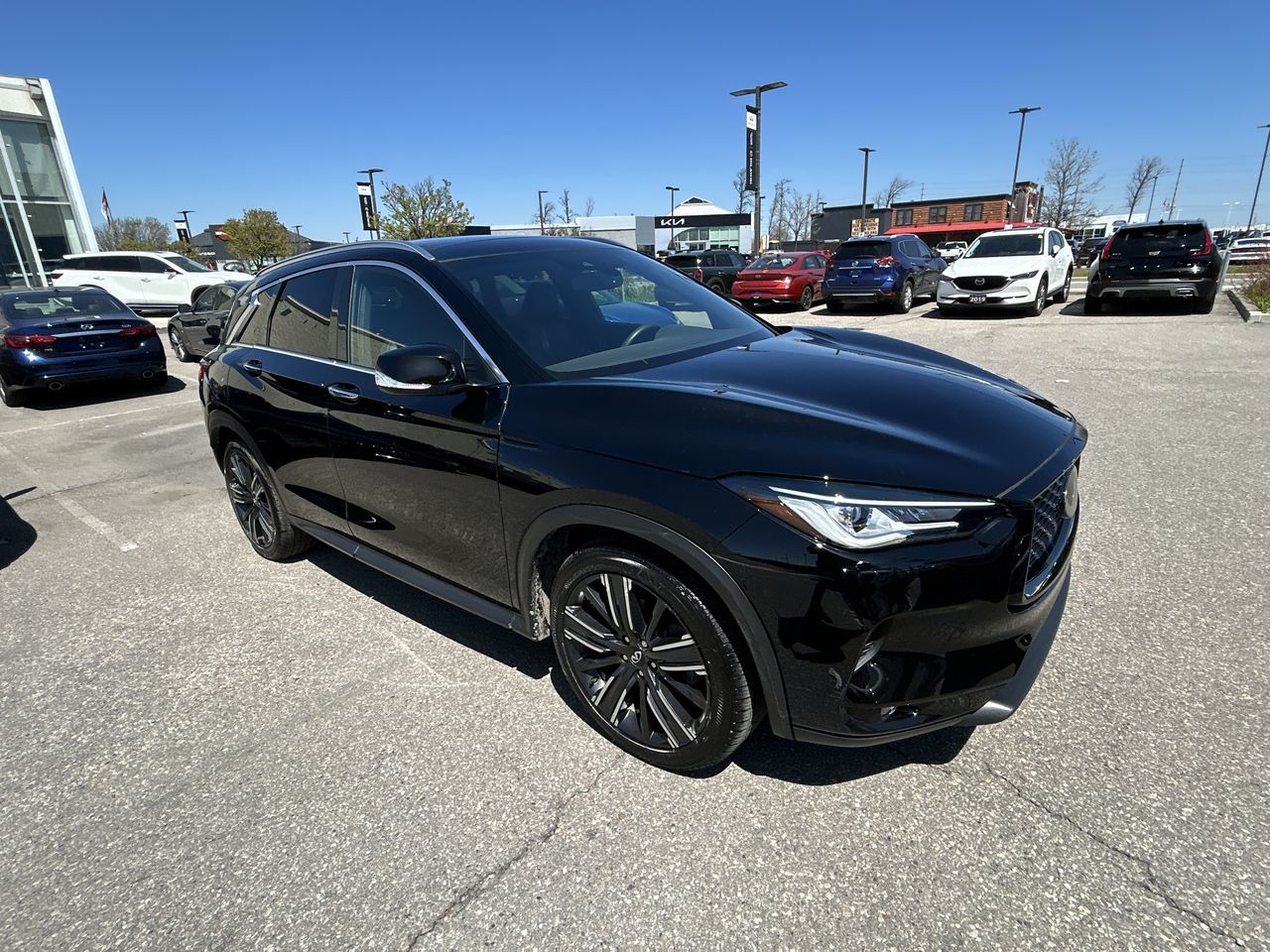 401 Dixie Infiniti | 2022 Infiniti QX50 LUXE I-LINE