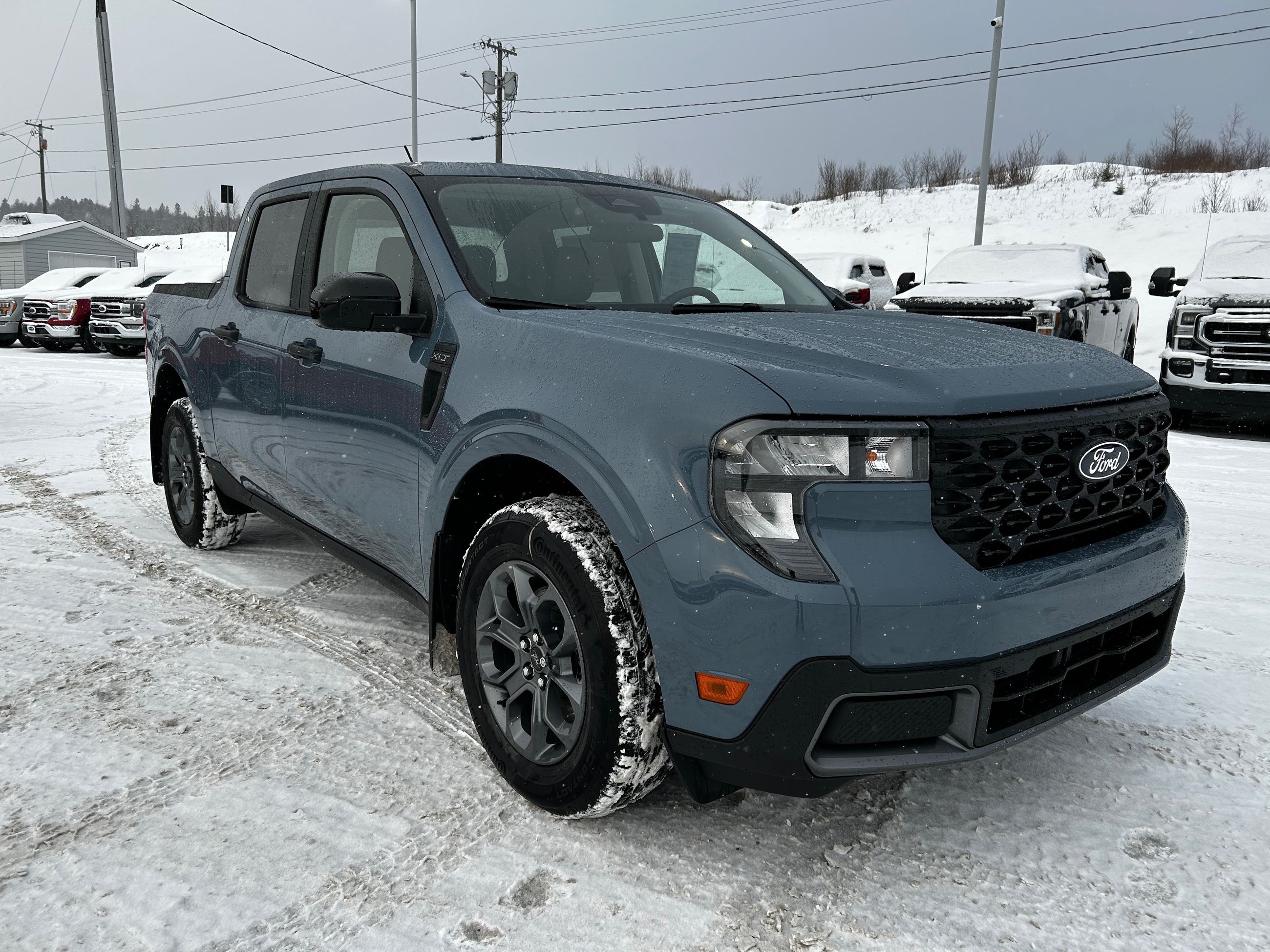 Violette Ford Grand Falls in Grand Falls | 2025 Ford Maverick XLT | #25046