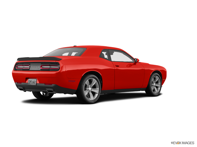 The 2023 Dodge Challenger SXT RWD in Bathurst | Bayside Chrysler