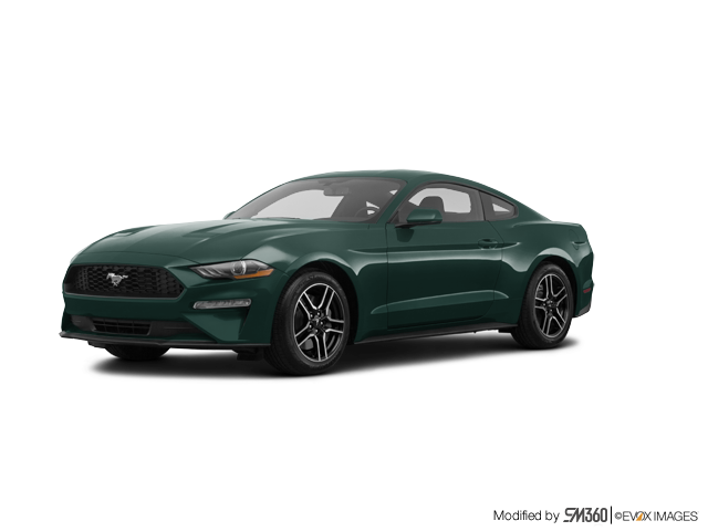 Montmorency Ford | The 2023 Mustang Fastback EcoBoost Premium in Brossard