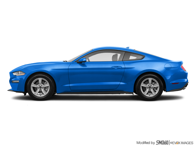 Gentilly Ford in Bécancour (Gentilly Sector) | The 2023 Ford Mustang ...