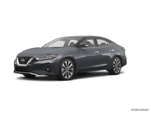 Evergreen Nissan in Prince Albert | The 2023 Maxima PLATINUM