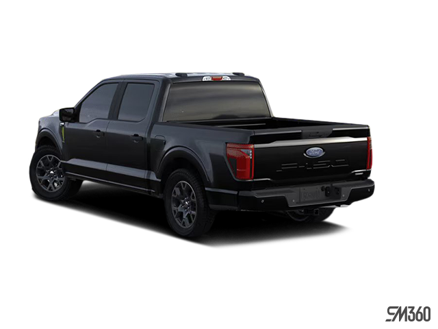 Stockfish Ford | The 2024 F-150 STX
