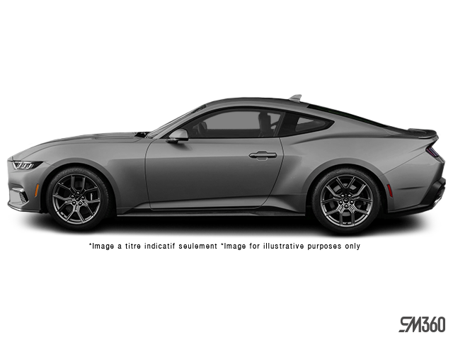 The 2024 FORD MUSTANG FASTBACK GT in Essex | Ken Knapp Ford