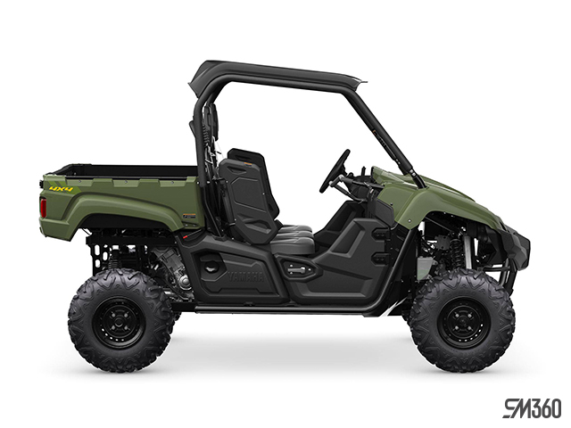 2025 VIKING - Starting at $19,199 | Alary Sport