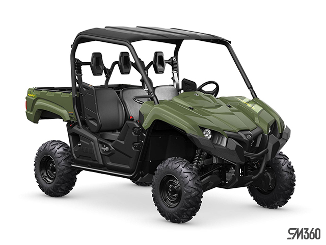 2025 VIKING - Starting at $19,199 | Alary Sport