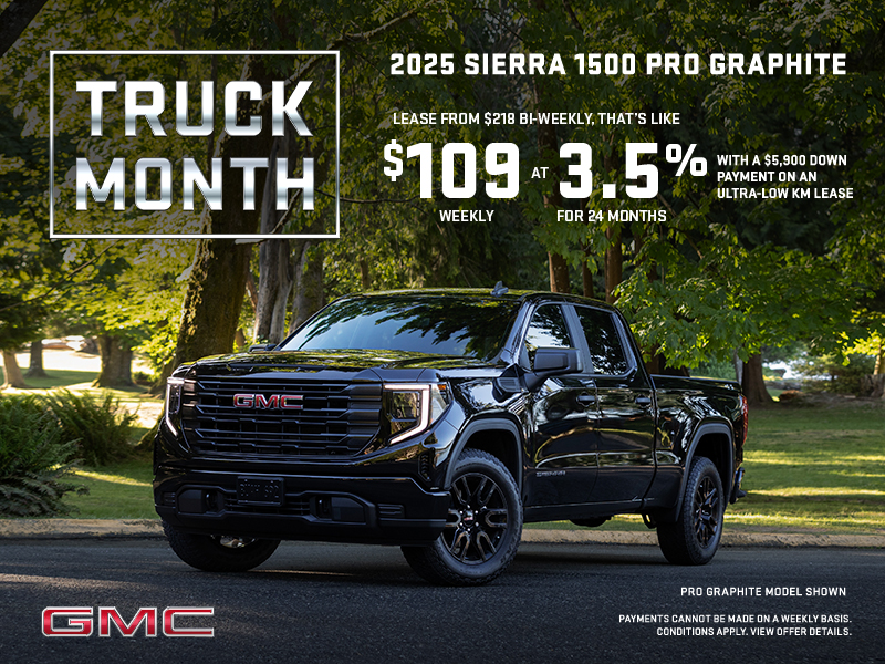 The 2025 GMC Sierra 1500 Pro Graphite | Tremblay Chevrolet Buick GMC Inc in Sturgeon Falls