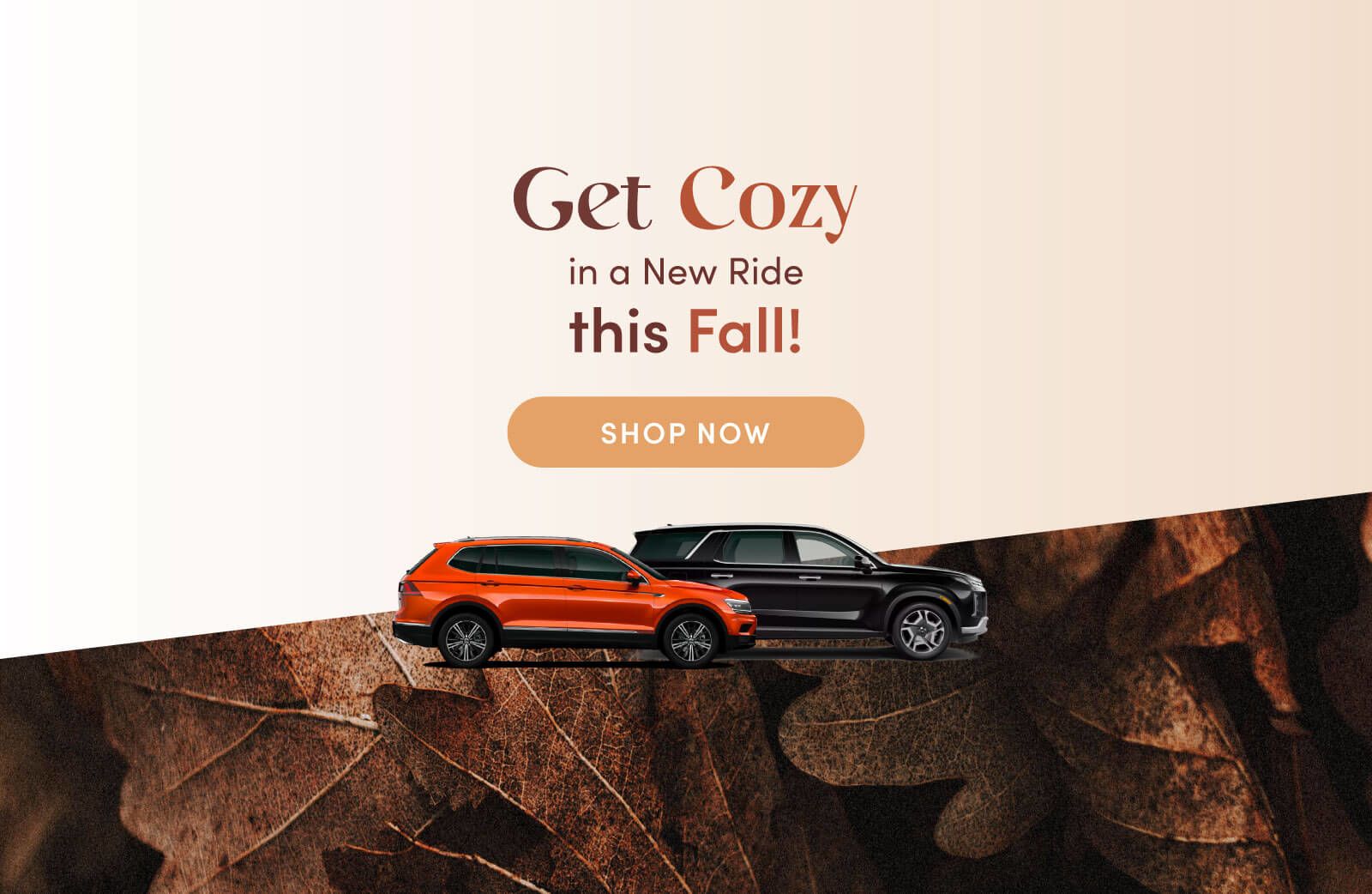 AutoPark Group | Pre-Owned Vehicles Dealership