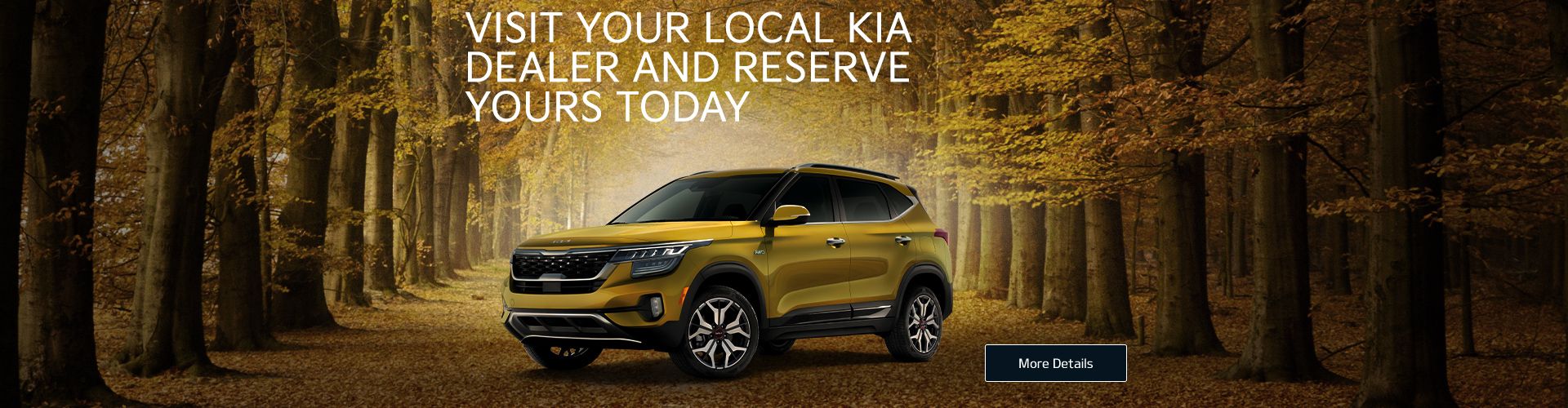 North York Kia | Kia Dealership in Toronto