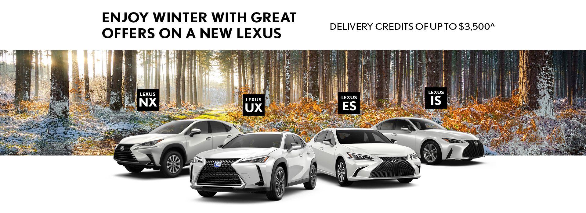 Regency Lexus | Lexus Dealership