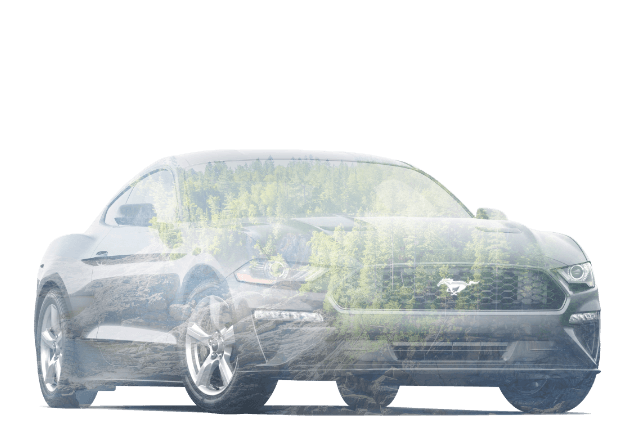 Violette Ford Grand Falls | Ford Dealership