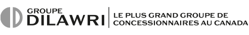 Concessions membres du Groupe Dilawri