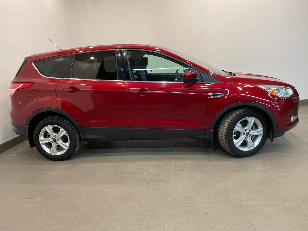 Hyundai of Regina | 2014 Ford Escape SE - FWD Rear View Camera | #4R3612A