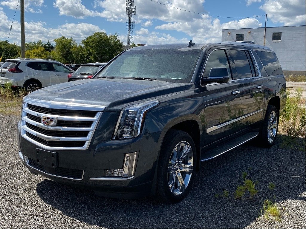 Frost Chevrolet Buick GMC Ltd | 2019 Cadillac Escalade ESV | #90193 in ...