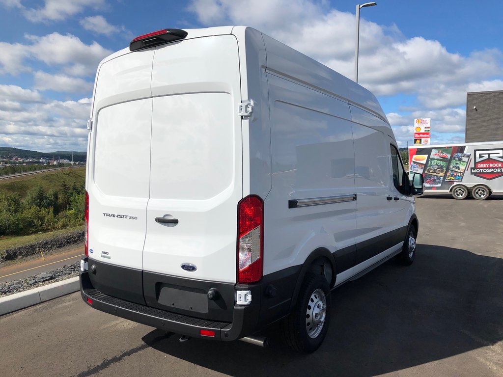 Violette Ford Grand Falls | 2020 Ford T250 HR CARGO | #20217