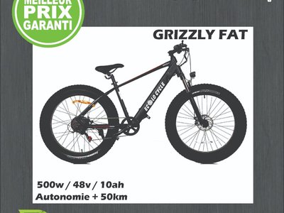 VÉLOS ÉLECTRIQUES ECOLO CYCLE PRIMO 2022 | #{stock} | Maniac Moto à ...