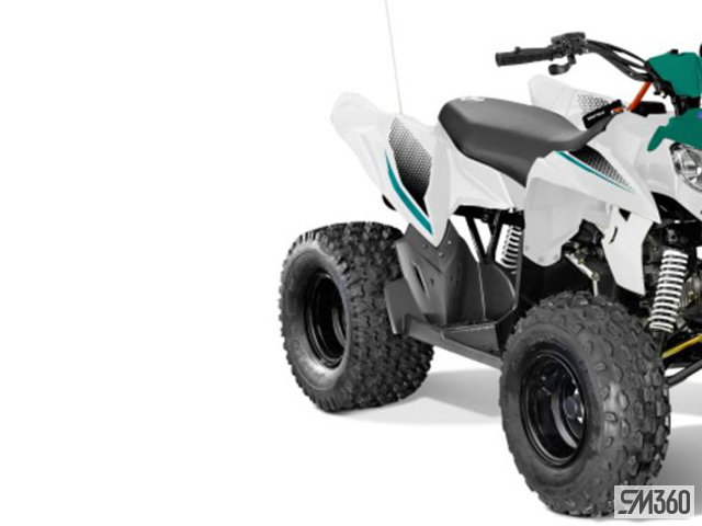 2024 Outlaw 110 EFI - Starting at $5,134 | Tri-Town Motorsports