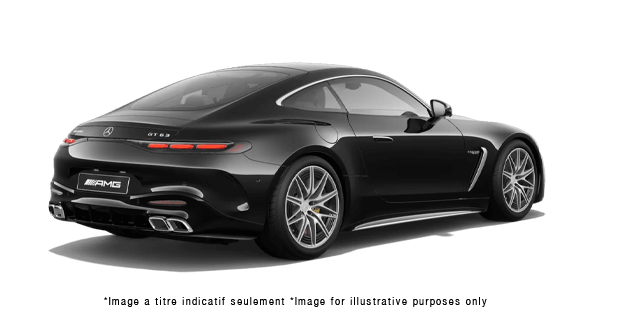 The 2025 Mercedes-Benz AMG GT Coupe 2-door 55 4MATIC+ | Mercedes-Benz ...