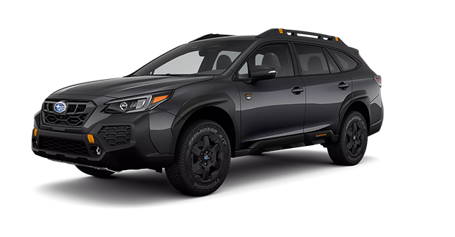 Marino's Fine Cars | The 2025 Outback Wilderness in Toronto