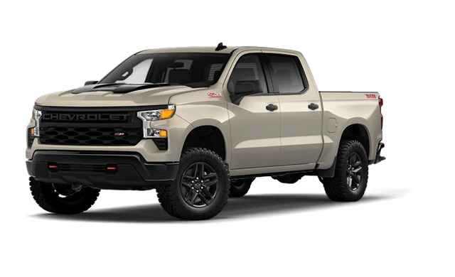 The 2022 Chevrolet Silverado 1500 Custom Trail Boss In Labrador City 