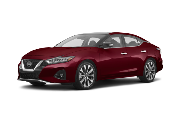 Trevors Nissan in Miramichi | The 2023 Nissan Maxima PLATINUM