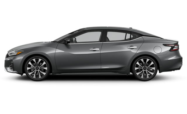Evergreen Nissan in Prince Albert | The 2023 Maxima PLATINUM