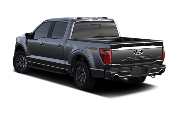 Villeneuve Ford in Matane | The 2024 Ford F-150 TREMOR