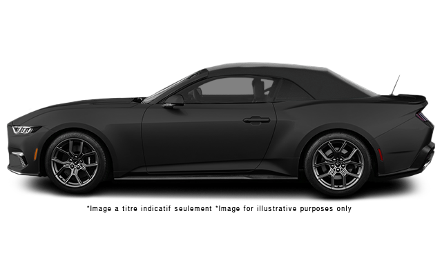 Ford New Richmond | The 2024 Mustang Convertible EcoBoost