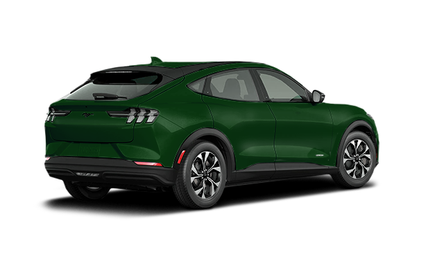 Morand Ford in Sainte-Catherine | The 2024 Ford Mustang Mach-E Select RWD