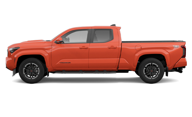 McClure Toyota in Grand Falls | The 2024 Toyota Tacoma SR5