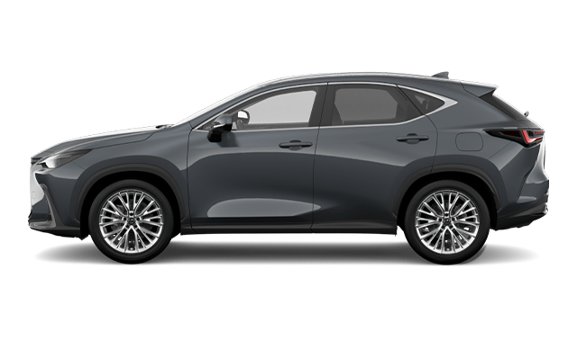 Regency Lexus | The 2025 NX Hybrid 350H