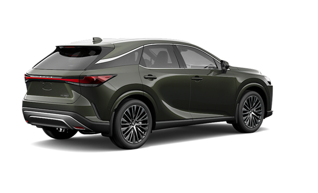 Regency Lexus | The 2025 RX 350