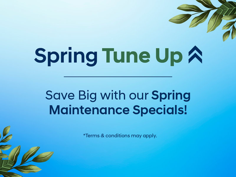 Spring Tune Up Special | Woodstock Hyundai in Woodstock